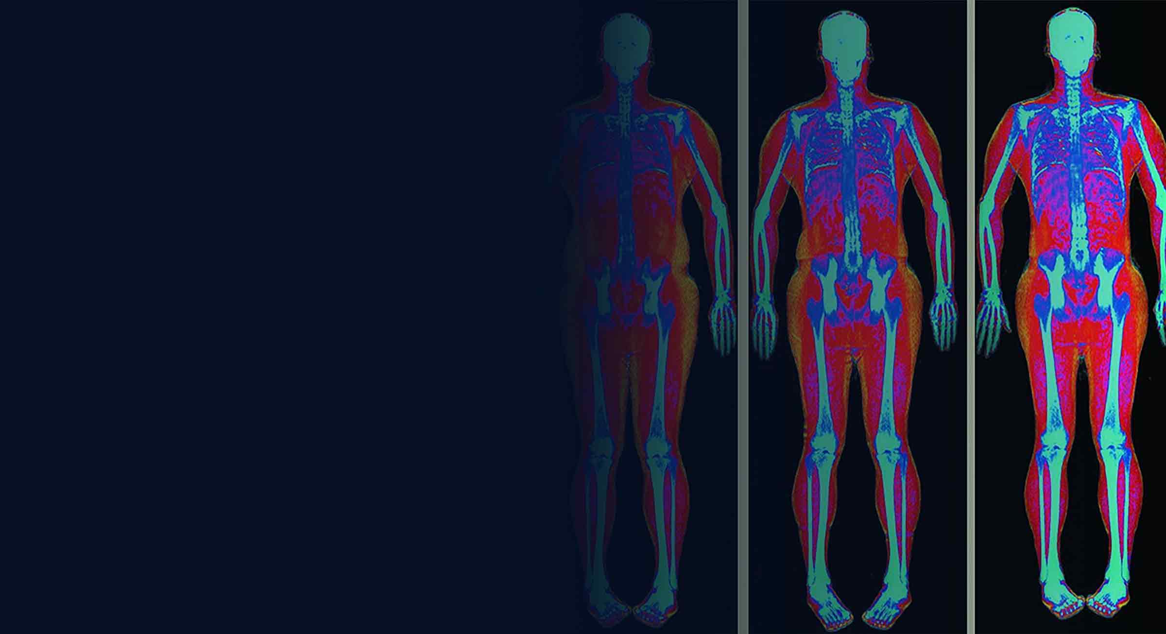 Home - Body Analytics